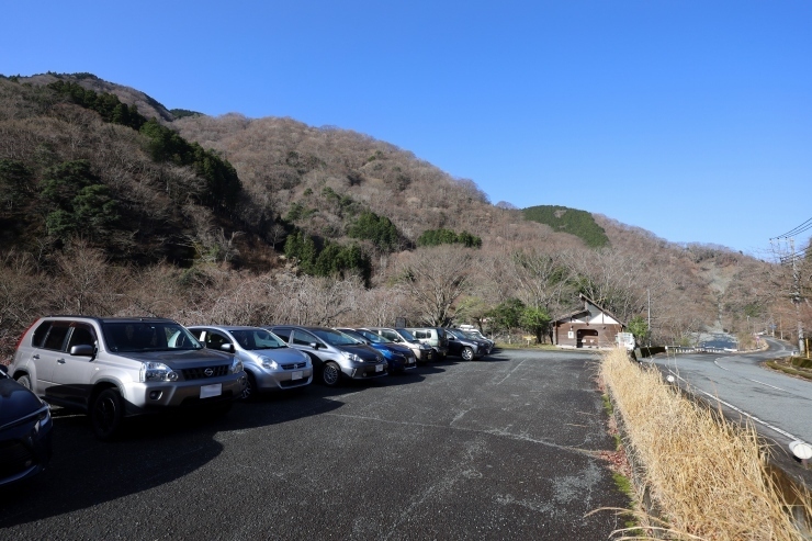 丹沢エルドラド【3月30日】: 休日の日記